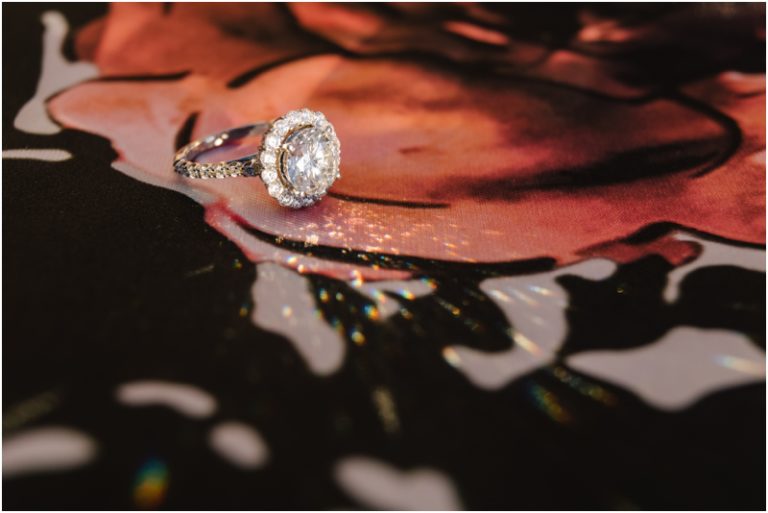 Fancy Engagement Photos | U&H - Simone Anne Photography